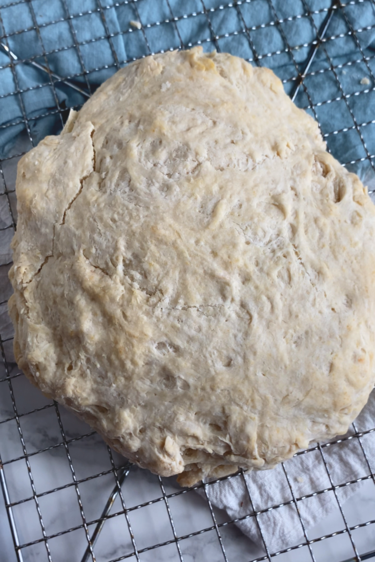 Homemade Vegan Bannock Recipe - The Veggie YaYa