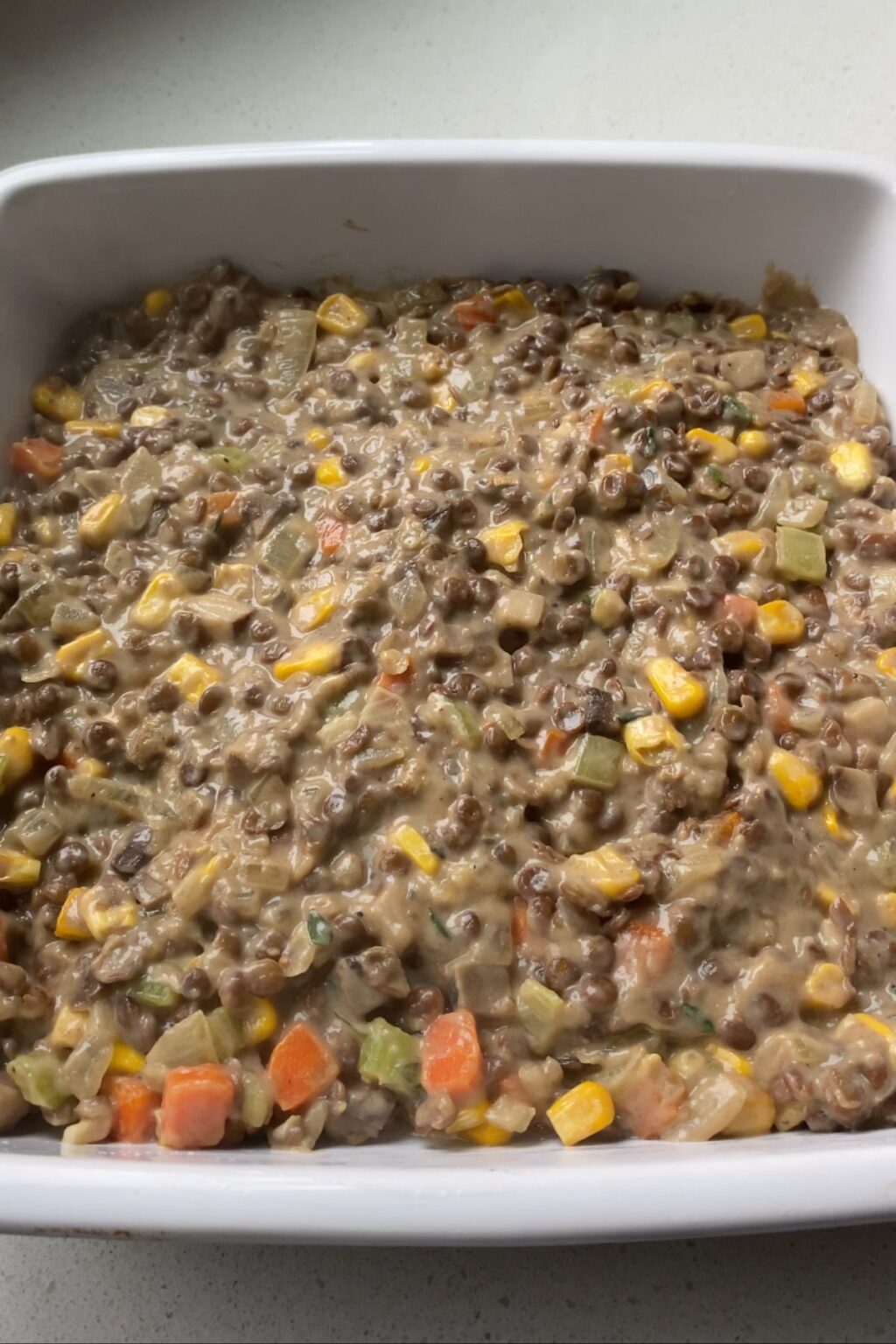 Vegan Tater Tot Casserole Recipe - The Veggie YaYa