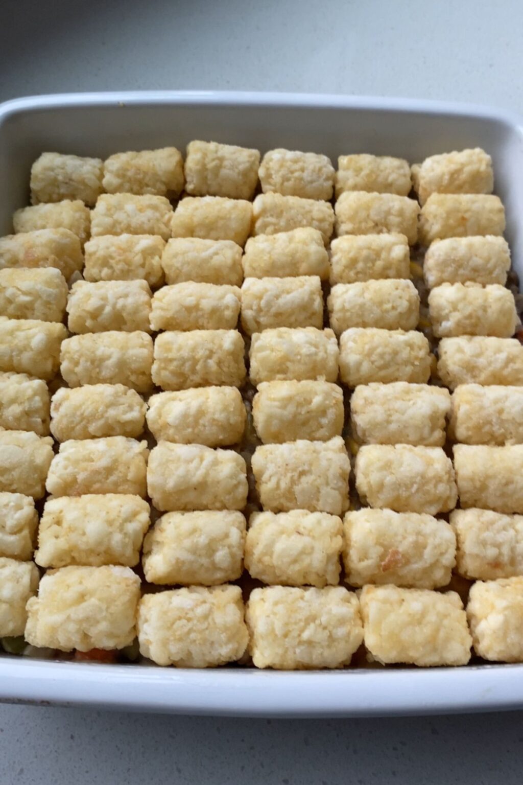 Vegan Tater Tot Casserole Recipe - The Veggie YaYa